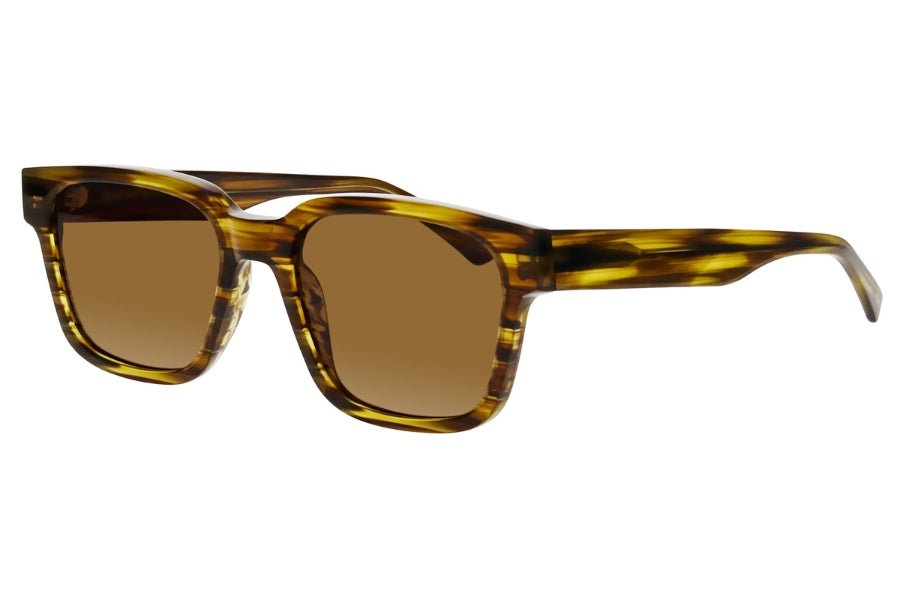 Acetate 16 Sun – Bay Bridge Optometry